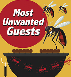 Stark Exterminators: Pest & Termite Control for AL, MS, NC & SC